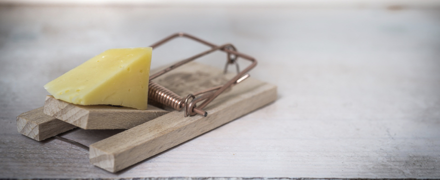 The Hidden Trap In MLM and 5 Things to Avoid It - Mark Januszewski